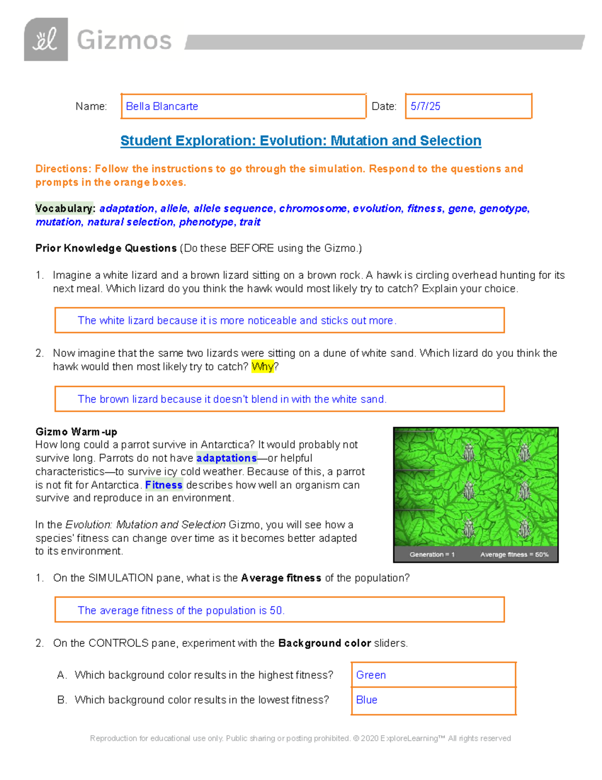 Evolution Mutation And Selection Simulation Se 17 Studocu
