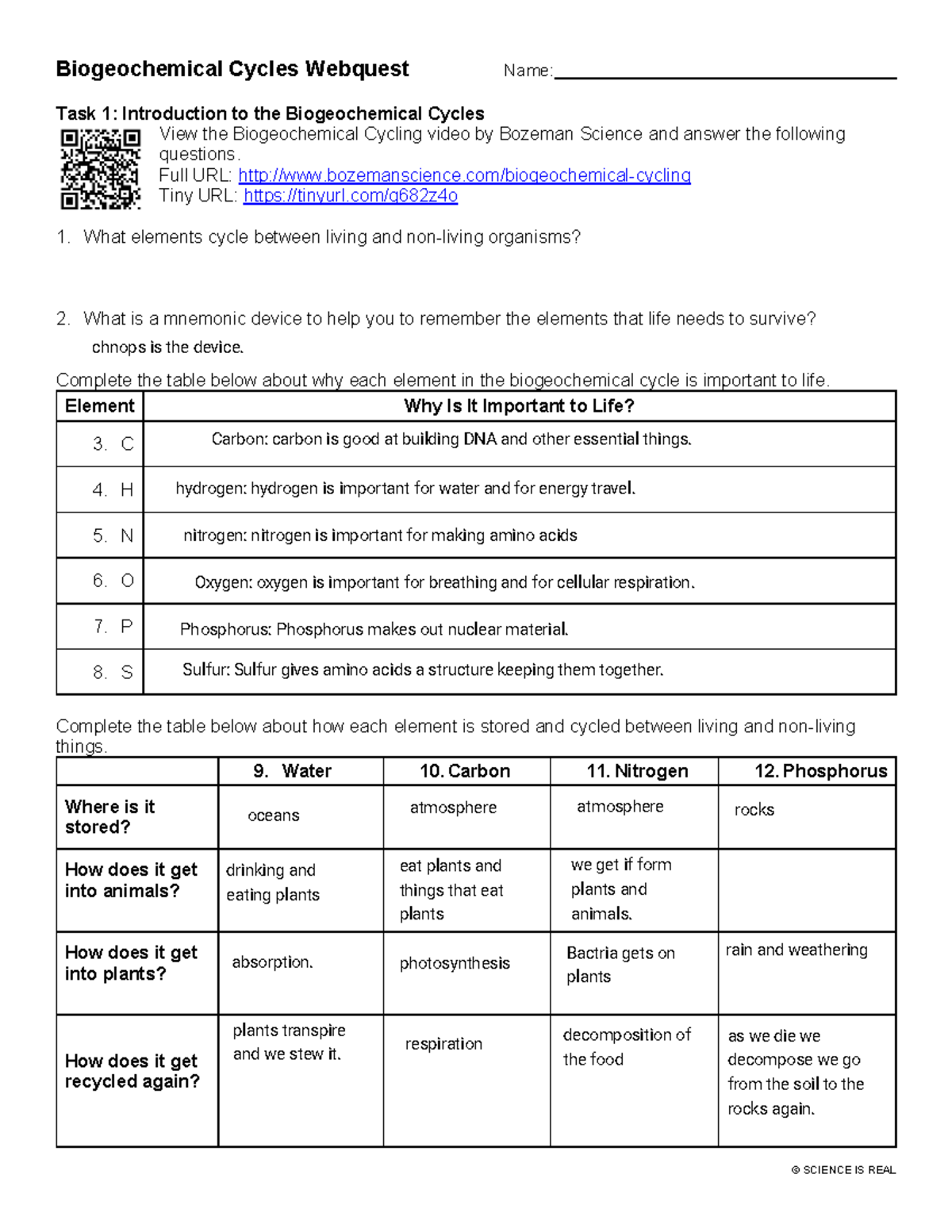 Jeremiah Lawandy - Biogeochemical Cycles Webquest (Task 1-6) - Studocu