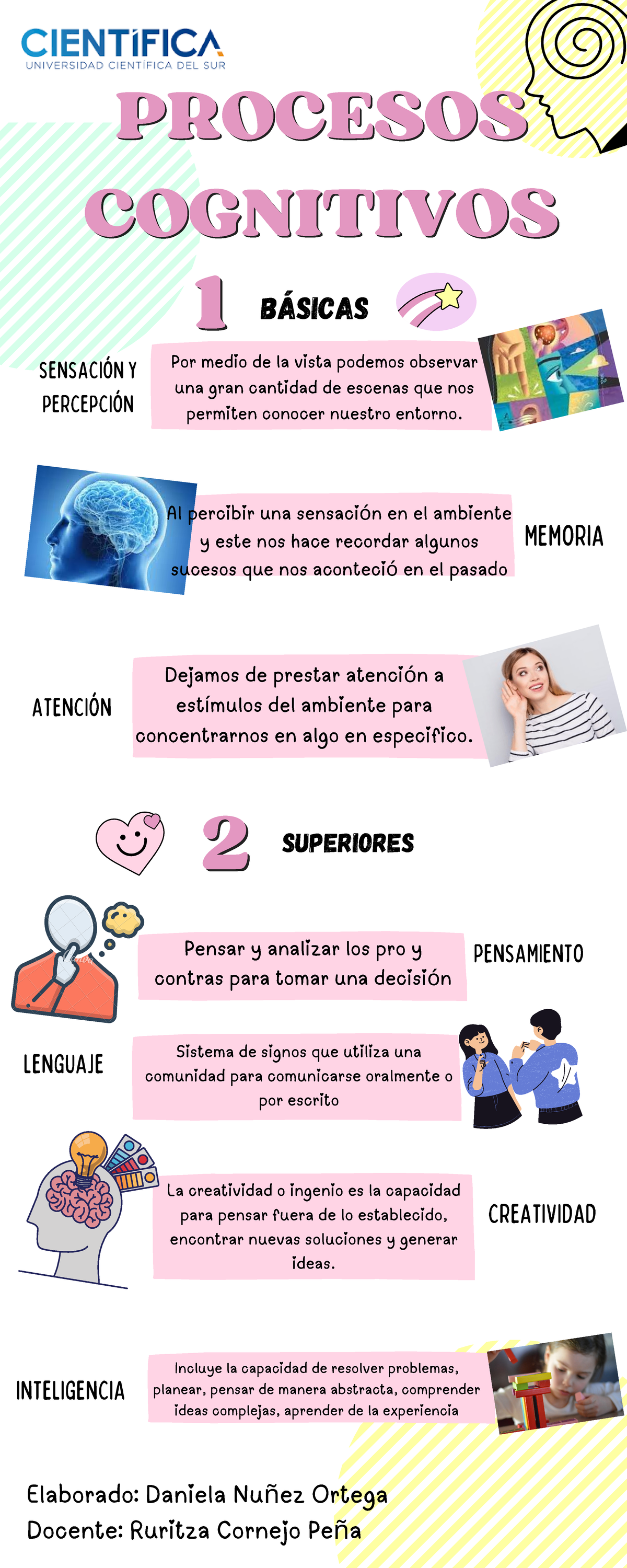 Infografia procesos cognitivos - 11 Por medio de la vista podemos observar una gran cantidad de ...