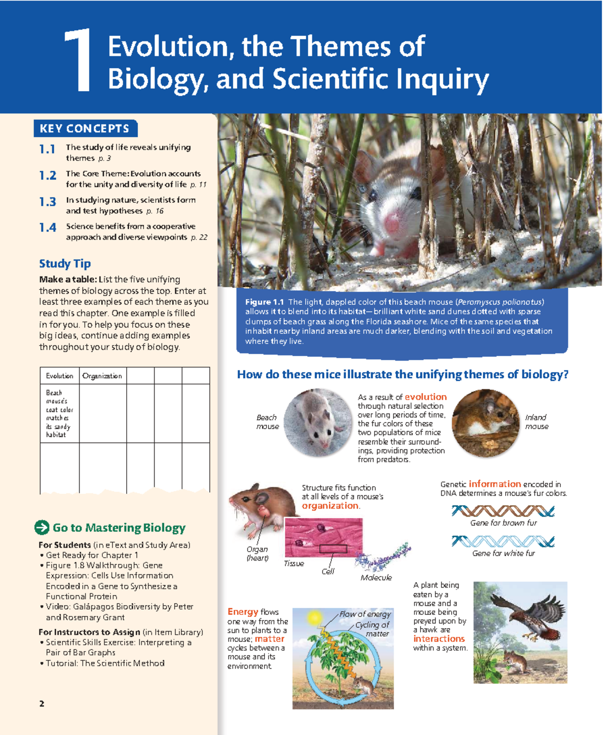 Biology 101: Evolution, Themes, and Scientific Inquiry Overview - Studocu