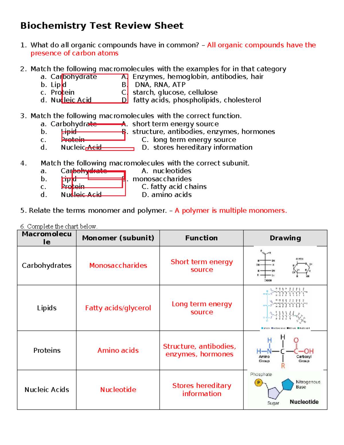 Biochemistry Test Review Sheet: Organic Compounds & Macromolecules ...