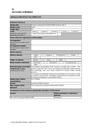 NMC reflective-accounts-form - You must use this form to record five ...