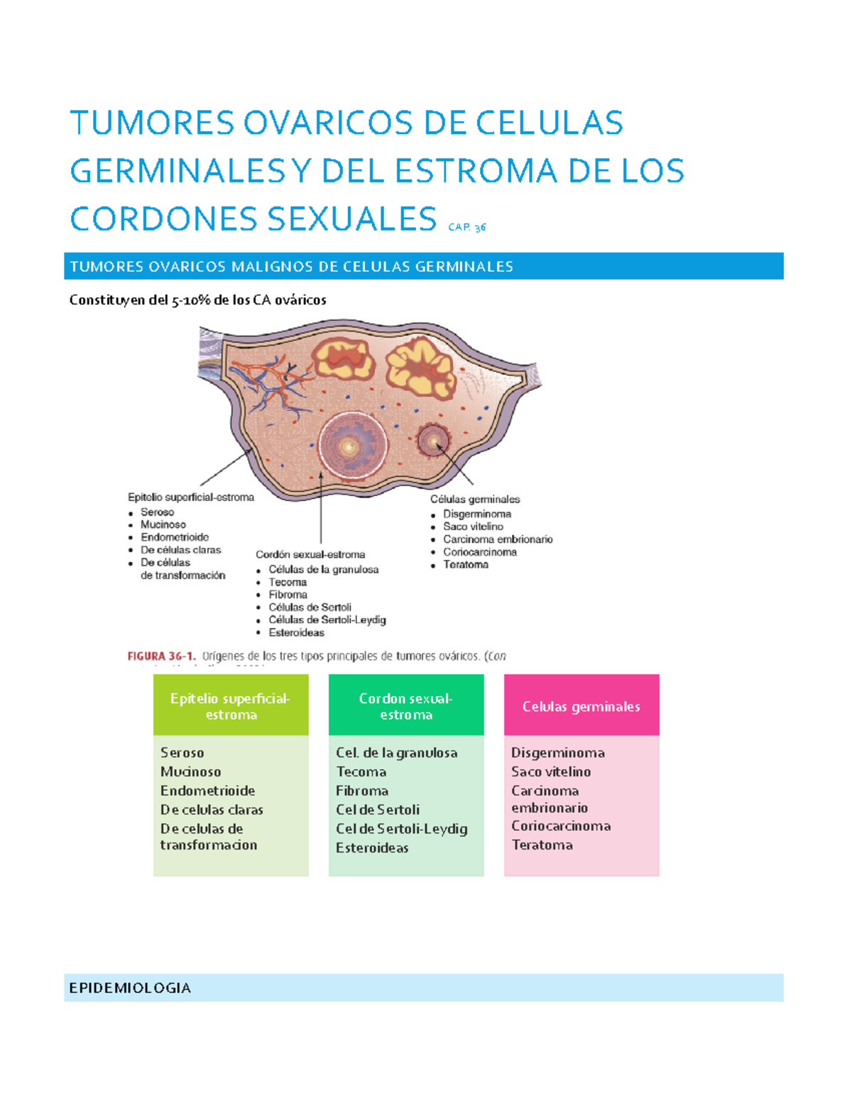 Ovario Tumor De Células Germinales