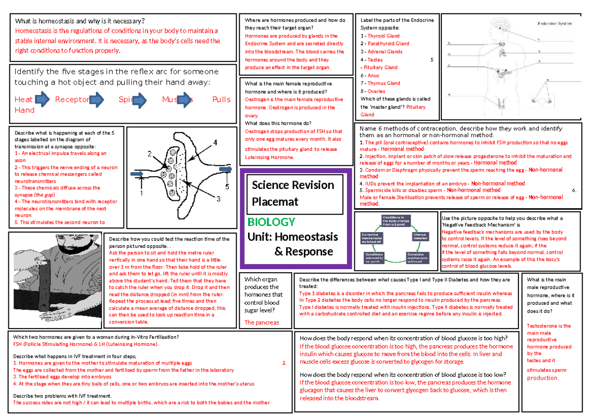 AQA GCSE Biology Homeostasis Response Revision Notes - Studocu