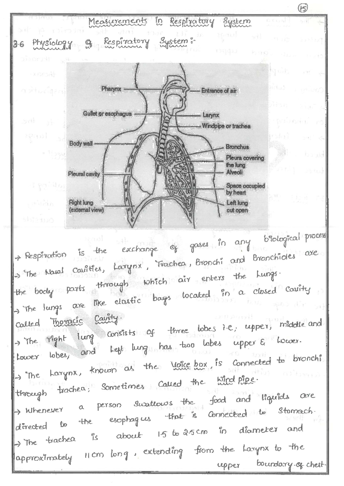 BMI UNIT-3 PART-II - Good - 15 Measurements in Respiratory System 36 ...
