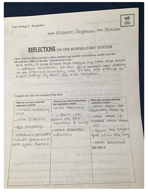 AP Coloring Workbook The Reproductive System - THE REPRODUCTIVE SYSTEM ...