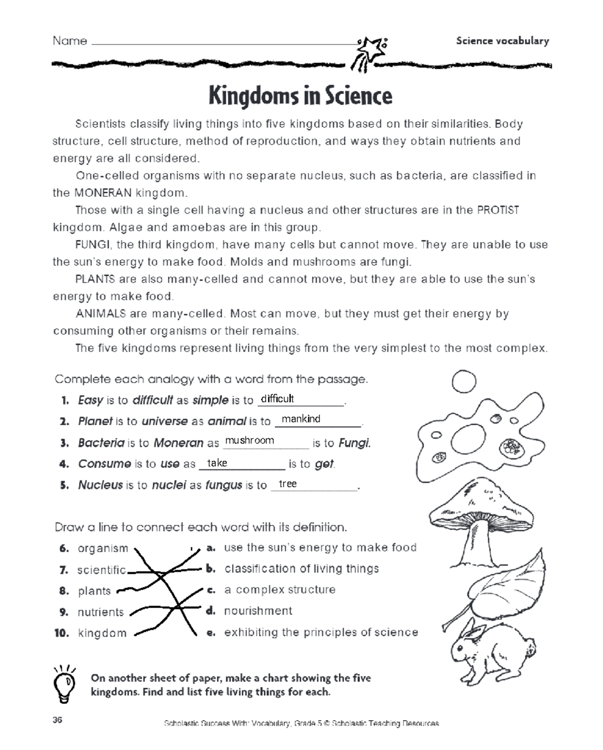 Kami Export - Ma Kale Miller - Kingdoms in Science - Name Science ...