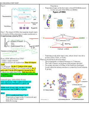 Bio buddy pt 1 - ST BOOK PAGE DNA transcription RNA translation protein ...