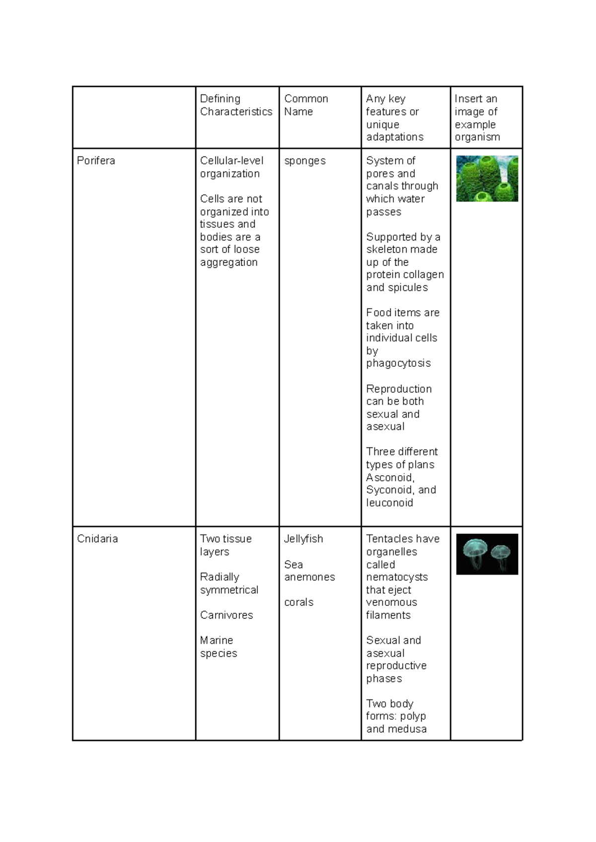 Animal diversity lab: characteristics and adaptations of major phyla ...