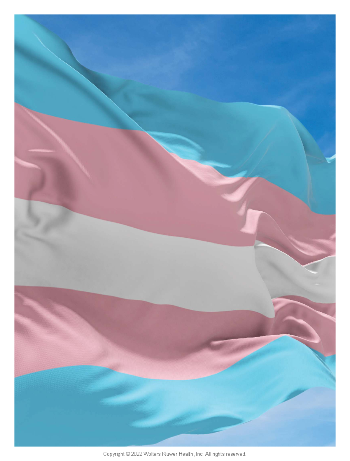 An Introduction to Gender-Affirming Hormone Therapy for TGNB Patients ...