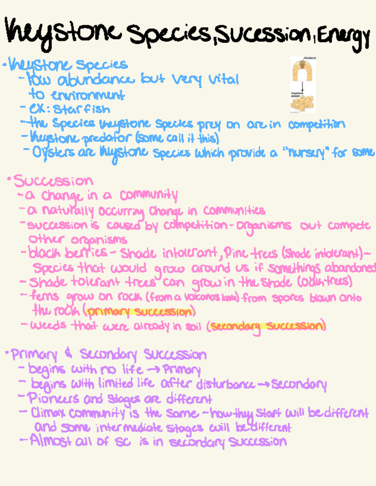 Ecology Concepts: Keystone Species & Succession Overview (ECO 101 ...