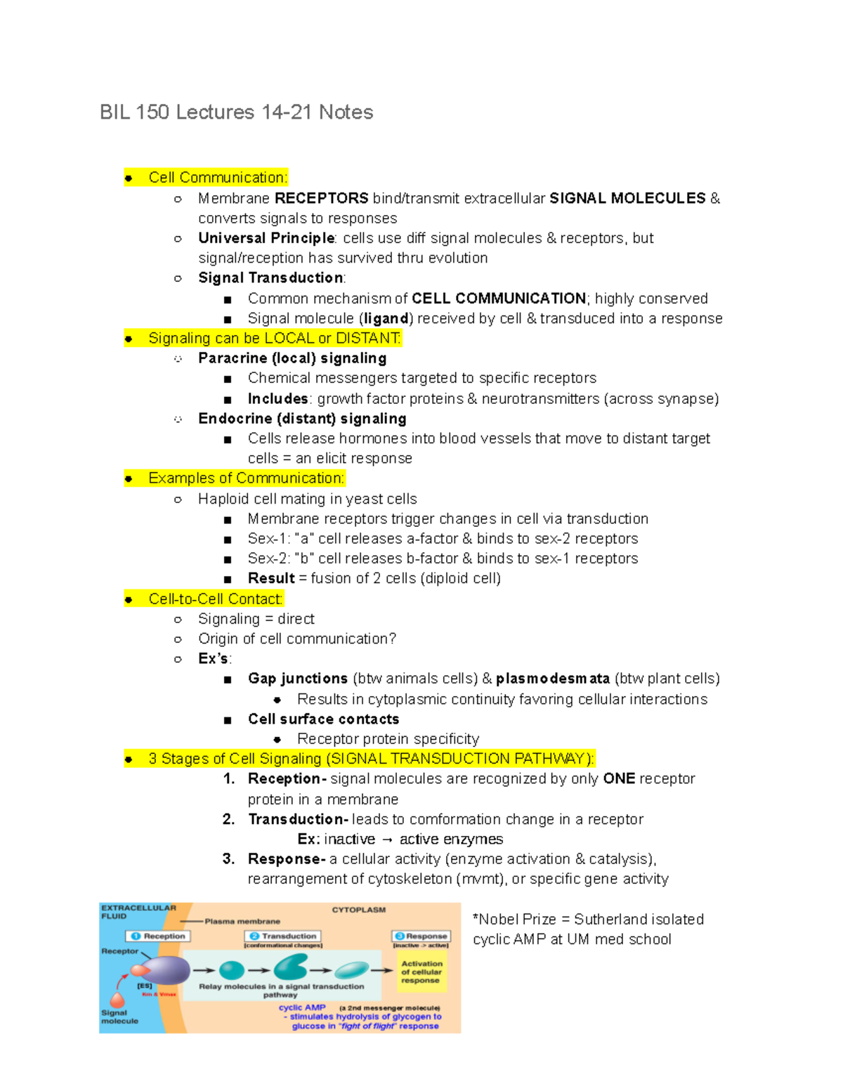 BIL 150 Test 3 Lecture Notes: Cell Communication & Metabolism - Studocu