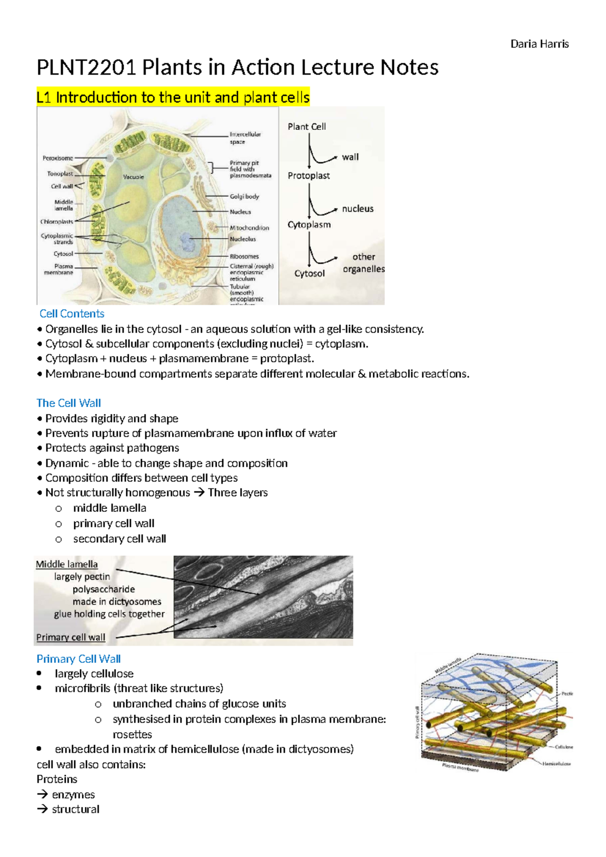 PLNT2201 Plants in Action Lecture Notes: Introduction to Plant Cells ...