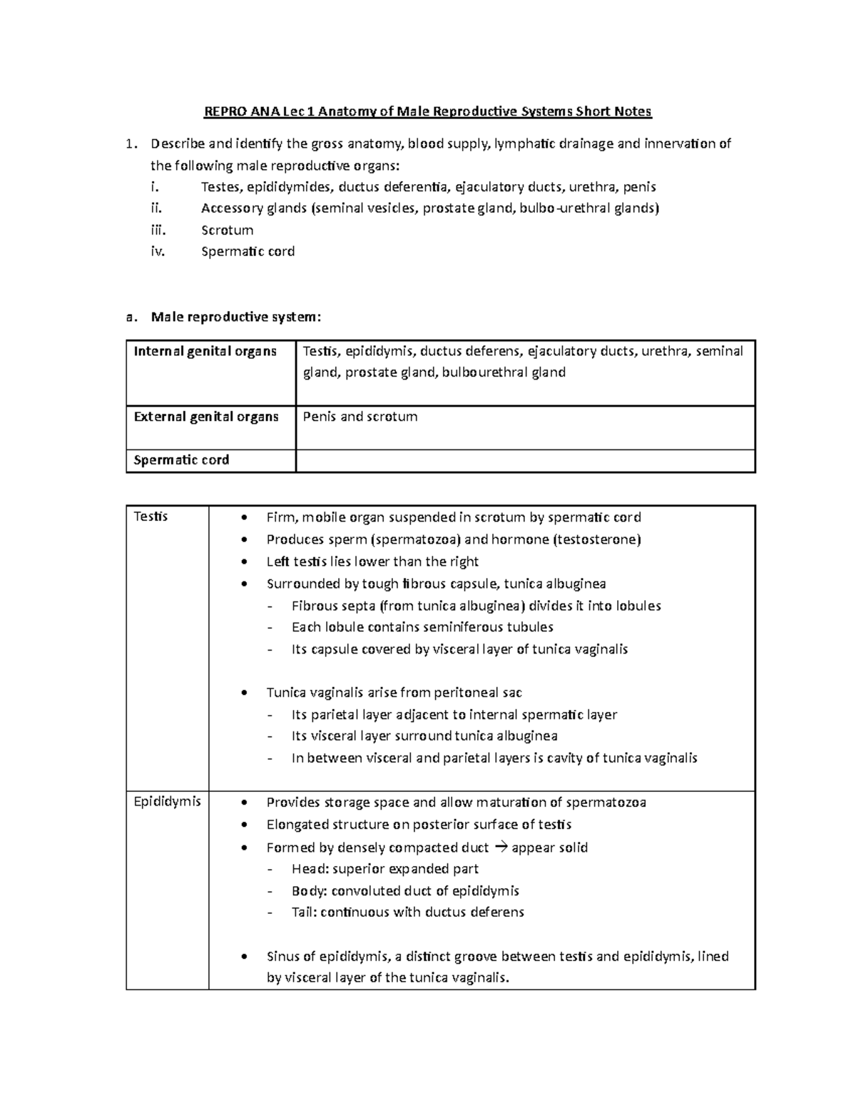 Short Notes of Anatomy of Male Reproductive Systems - REPRO ANA Lec 1 ...