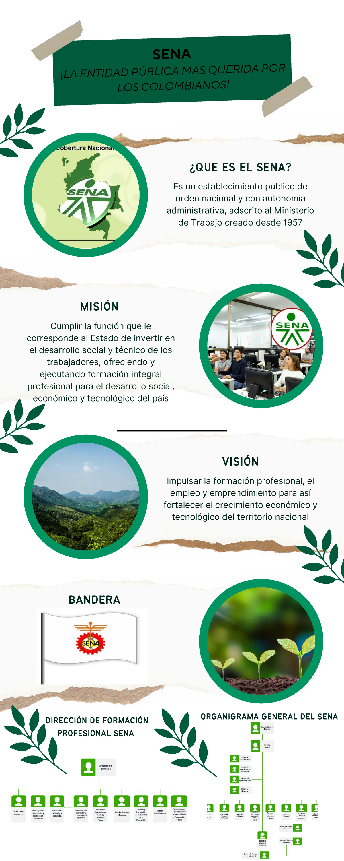 Infografía sobre el SENA: Misión, Visión y Estructura Organizativa ...