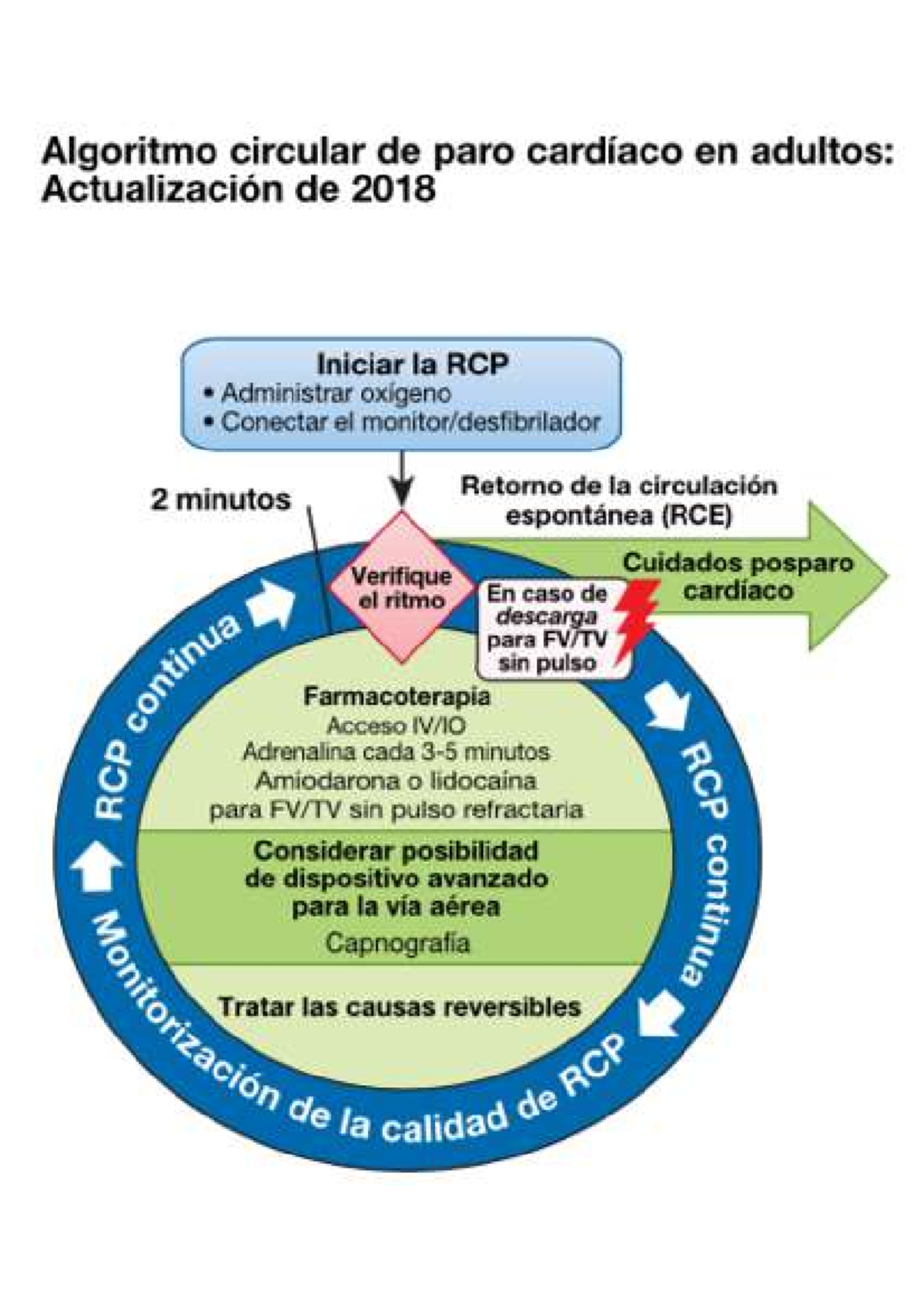 Algoritmos ACLS 2018: RCP, Taquicardia y Bradicardia - Studocu