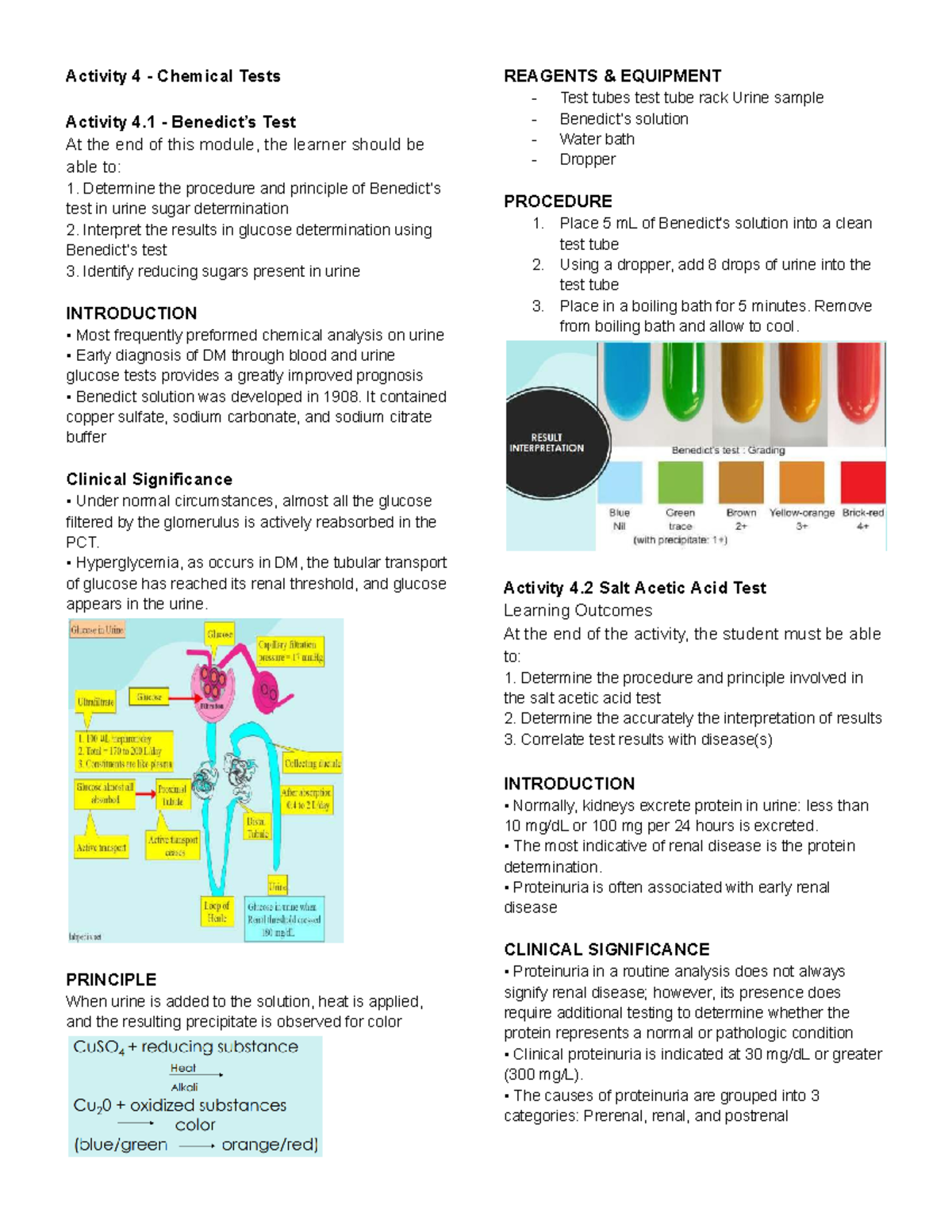 Activity 4 Chemical Tests For Urine Analysis And Interpretation Studocu