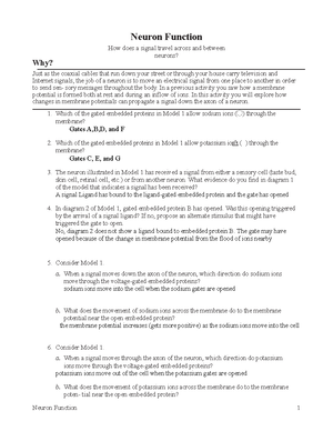 246527476 Neuron Structure Activity Answers - Neuron Structure What are ...