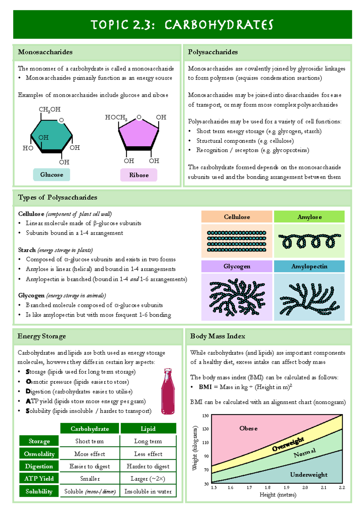 2.3 Carbohydrates - notes - Monosaccharides The monomer of a ...