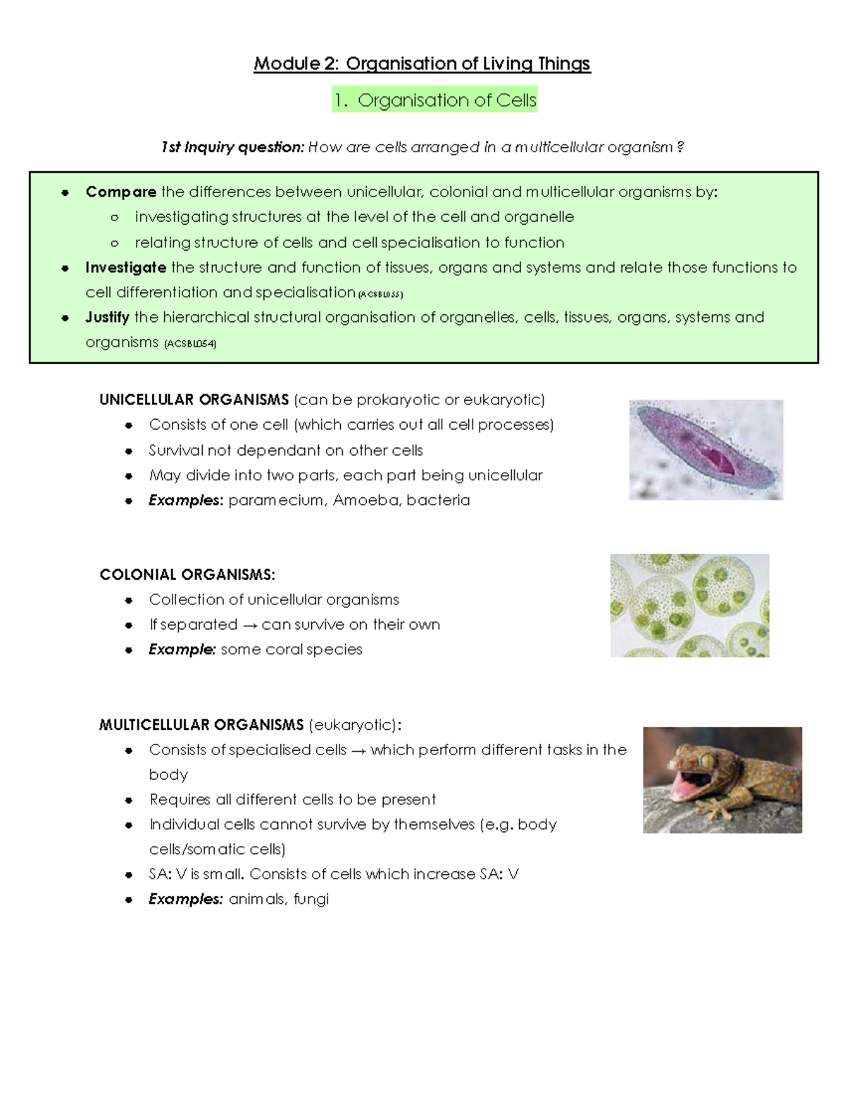 Module 2: Organisation of Living Things - Cells & Tissues Overview ...