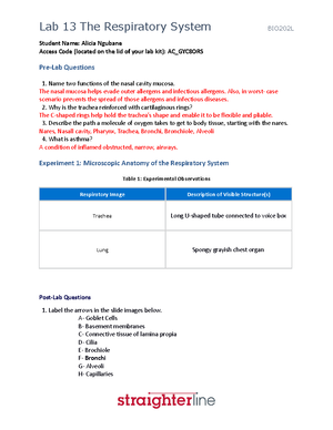 Module 7 Reflection Assignment - Explain the anatomical concepts ...