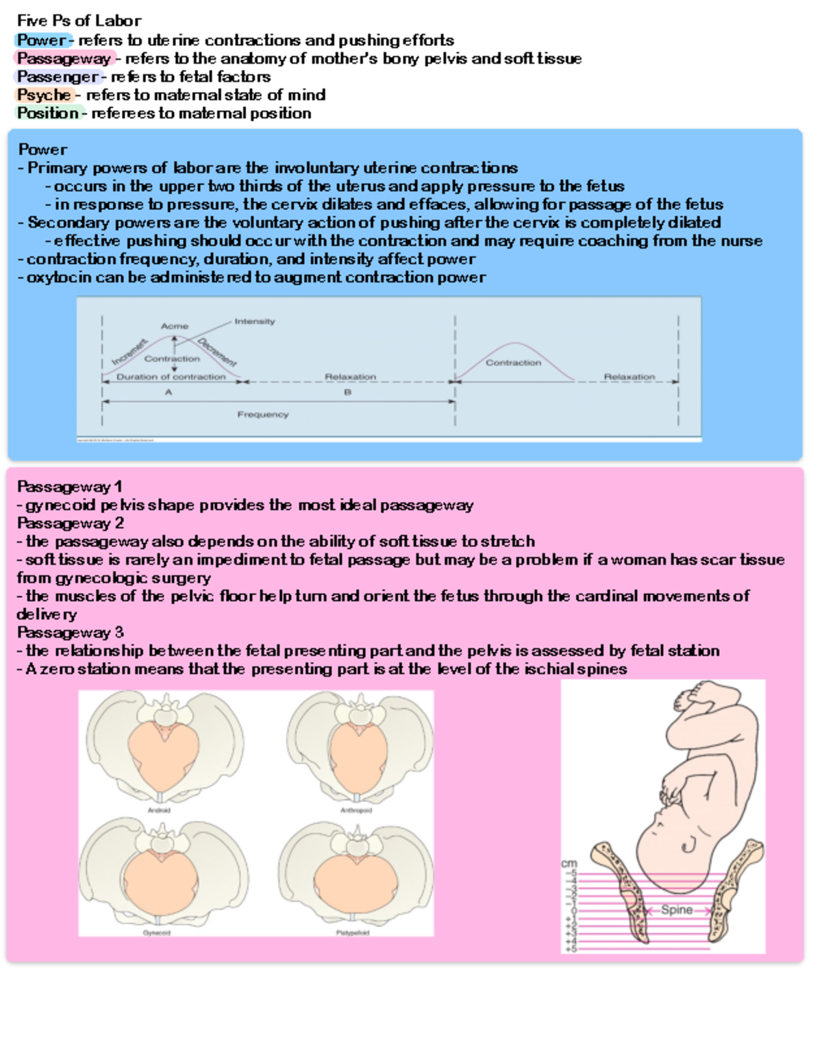 Exam 2 - Five Ps of Labor and Delivery Overview - Studocu