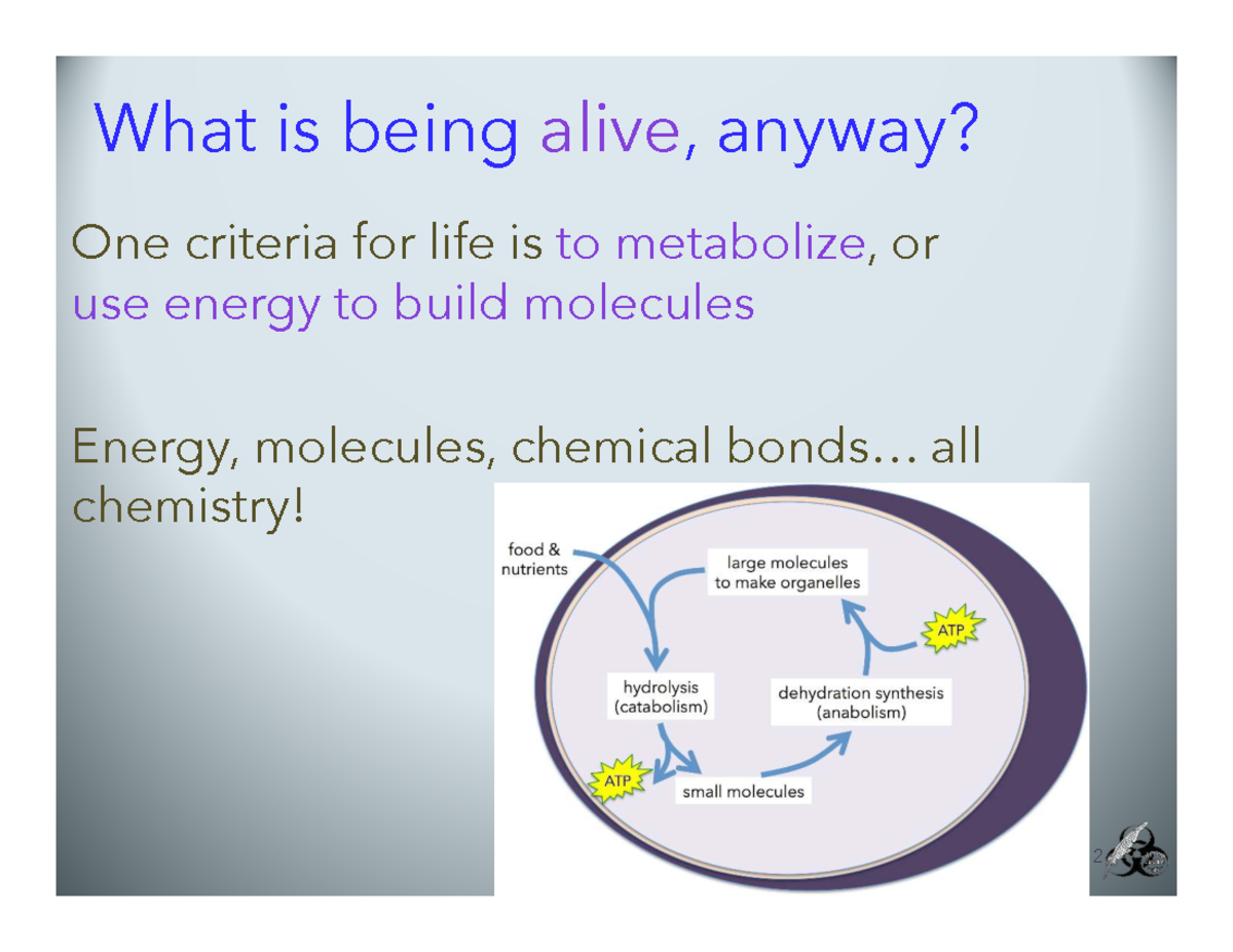 05 Metabolism: Understanding Life's Energy and Chemical Processes - Studocu