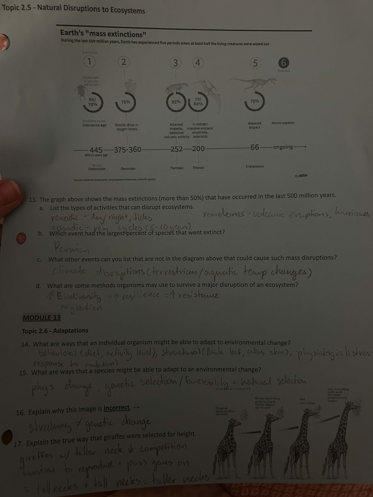 Final Exam Study Guide: Natural Disruptions & Adaptations in Ecosystems ...