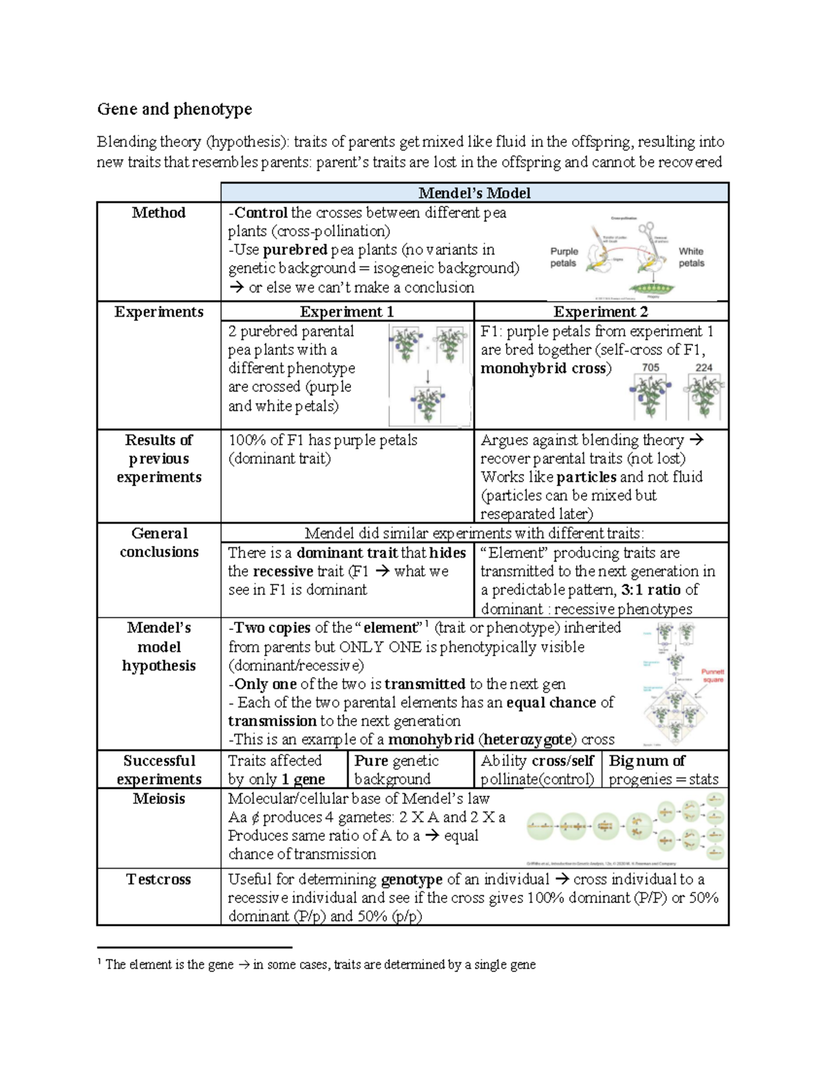 BIOL 202 - Summary of Genetics and Inheritance Theories - Studocu