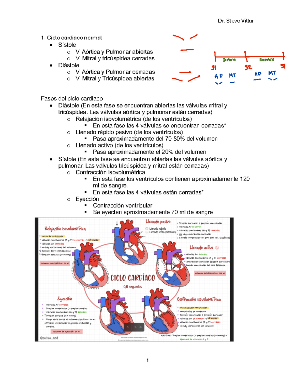 Resumen taller de ruidos cardiacos - Ciclo cardiaco normal Sístole o V ...