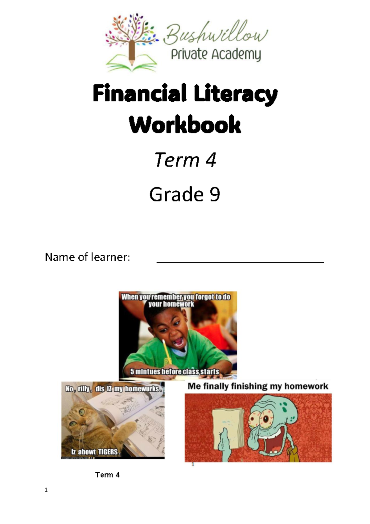 Financial Literacy Workbook Term 4: Accounting Equation Activities ...