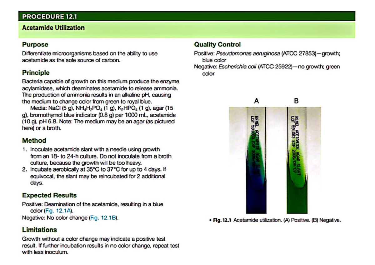 Biochemical Tests for Microbial Identification: Iruh2 Procedures - Studocu