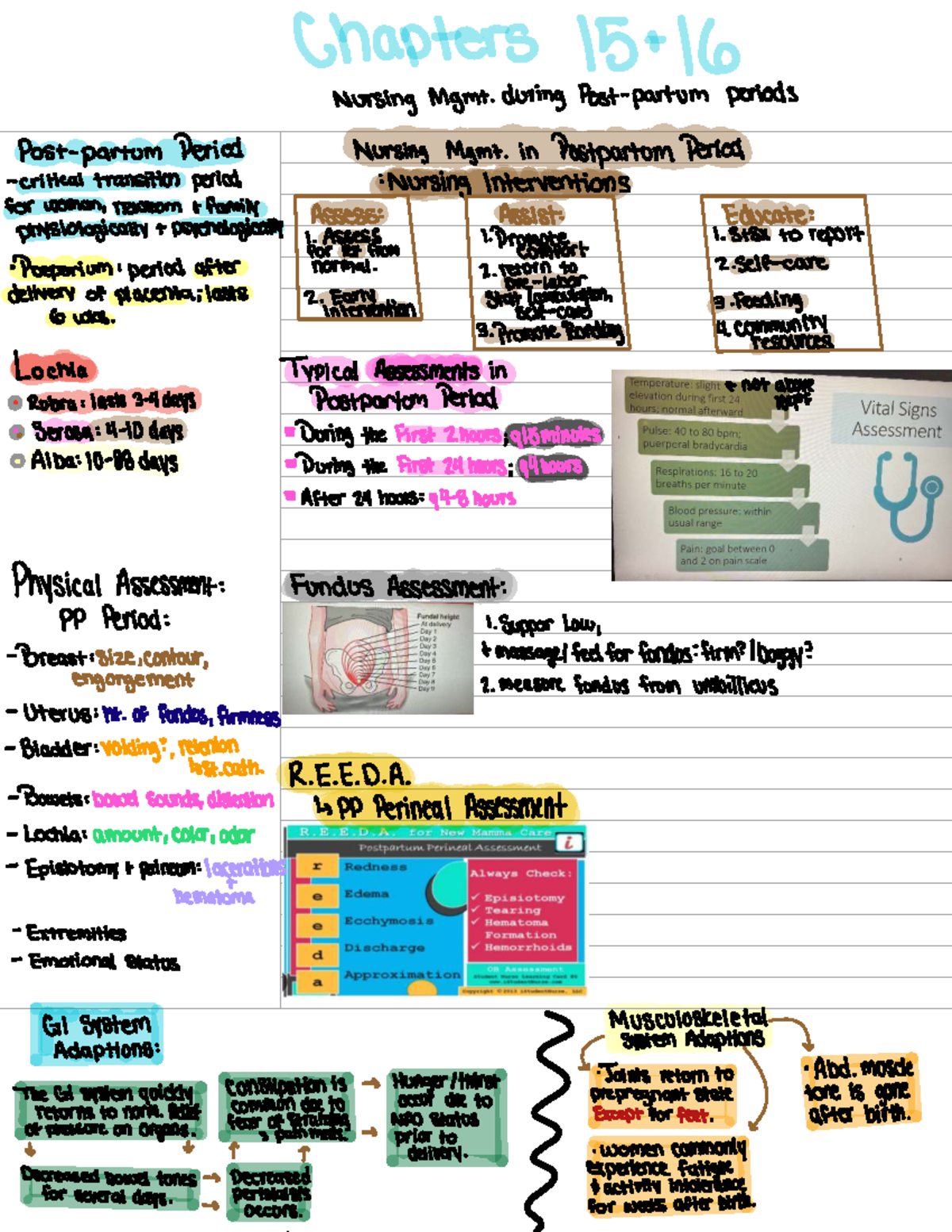 Nursing Management in Postpartum Periods (OB - Chapters 15 & 16) - Studocu