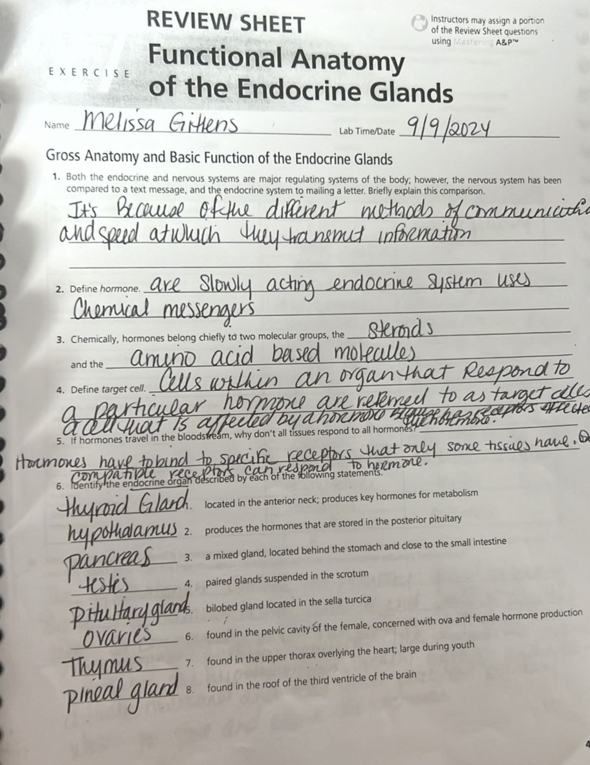 Apex27 - Lab Review: Functional Anatomy of Endocrine Glands - Studocu