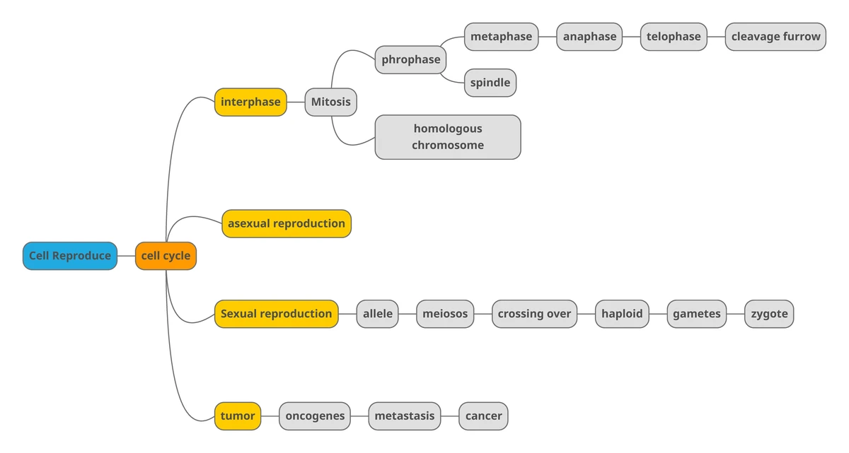 Concept map module 5 - classwork - bio102 - DNA structure and function ...