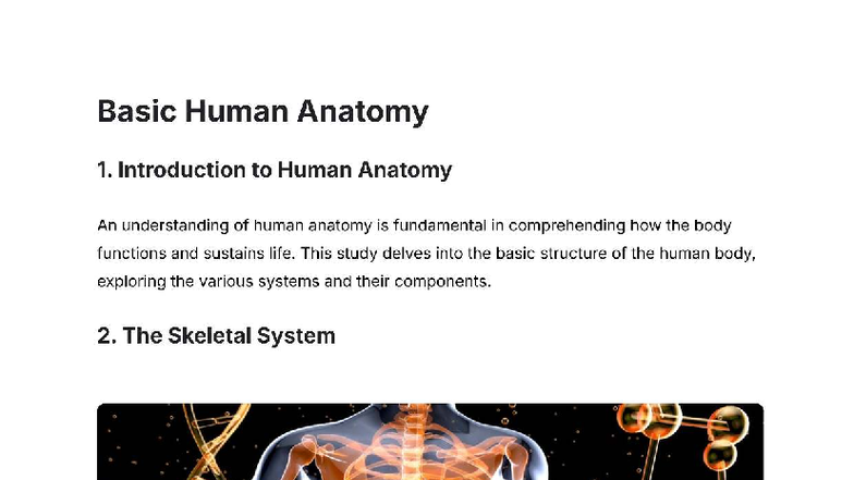 Anatomy Quizer: Basic Human Anatomy Overview - Studocu
