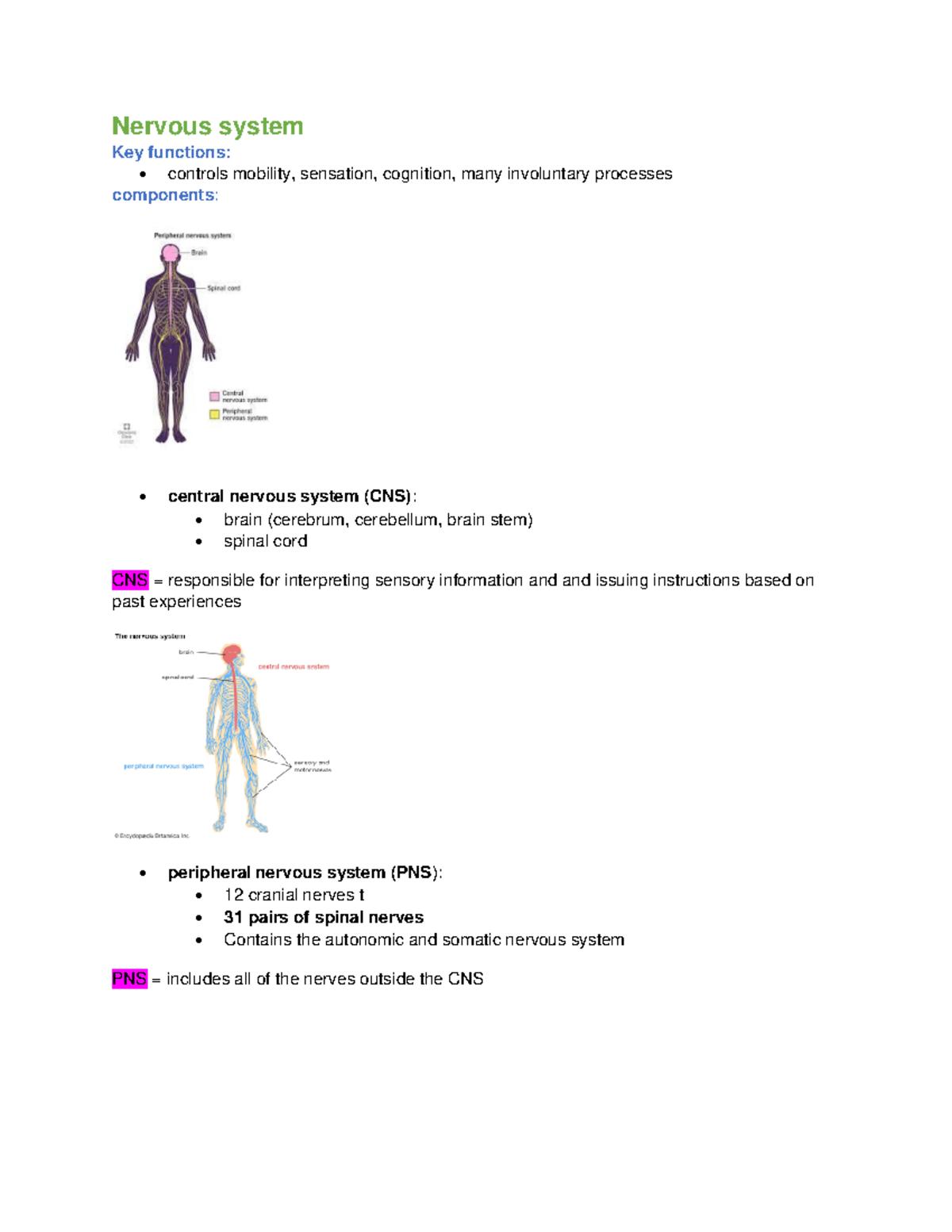 Neuro Notes: Key Functions and Components of the Nervous System - Studocu