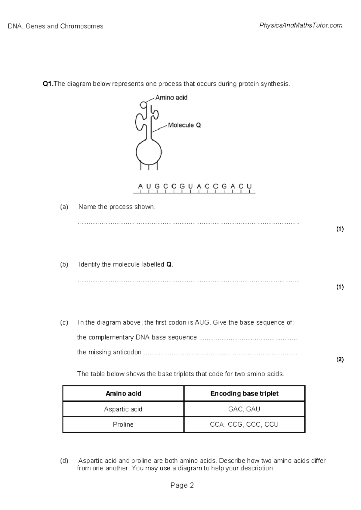 4.1 DNA, Genes and Chromosomes Quiz Paper - Studocu