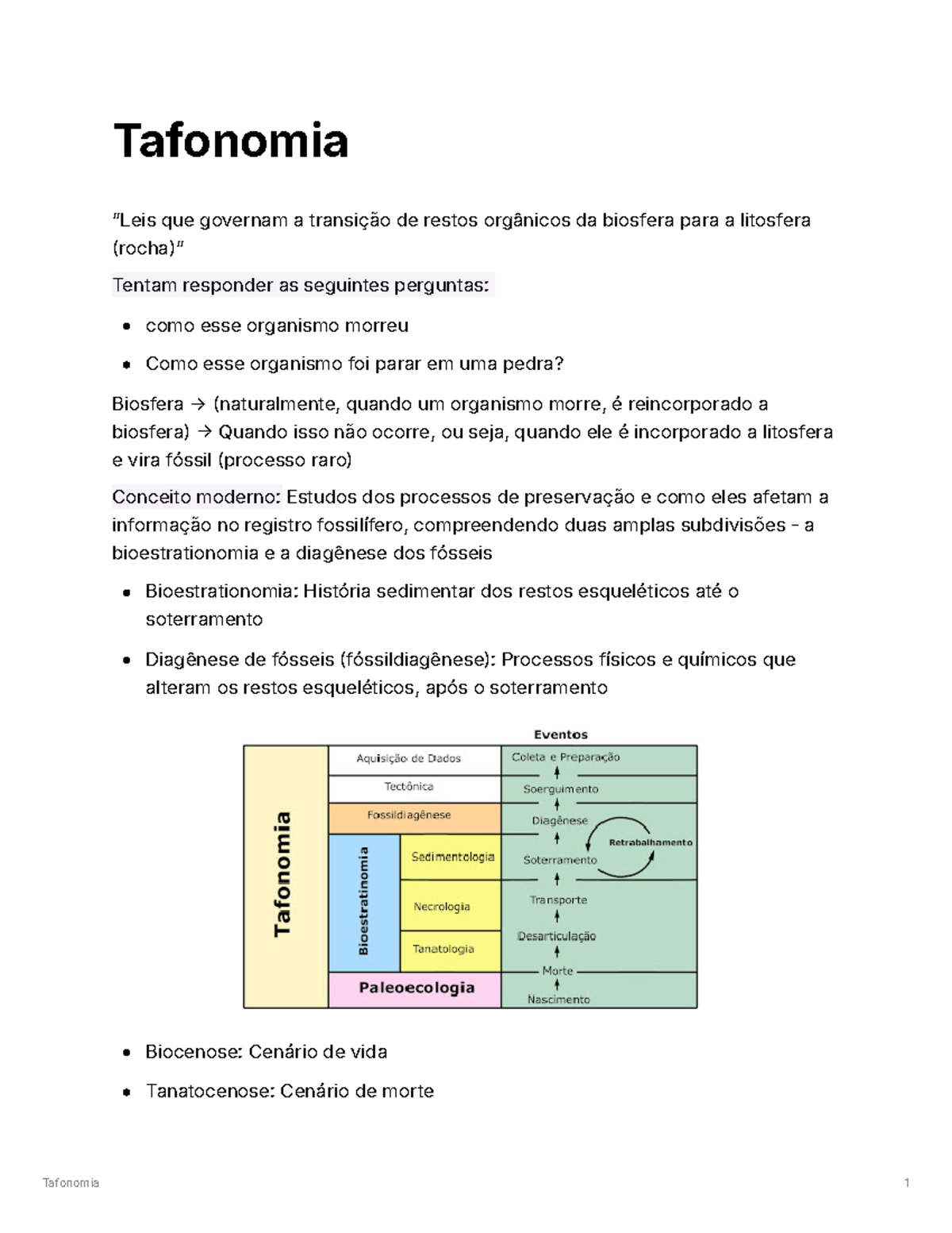 Tafonomia: Ciclos de Vida e Preservação de Fósseis - Estudo Completo ...