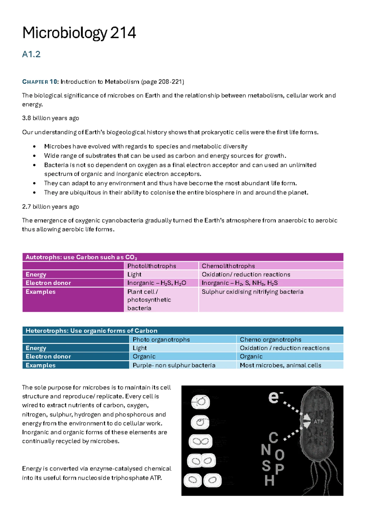 Light Microscopes Revision Notes - A-Level Biology AQA - Studocu