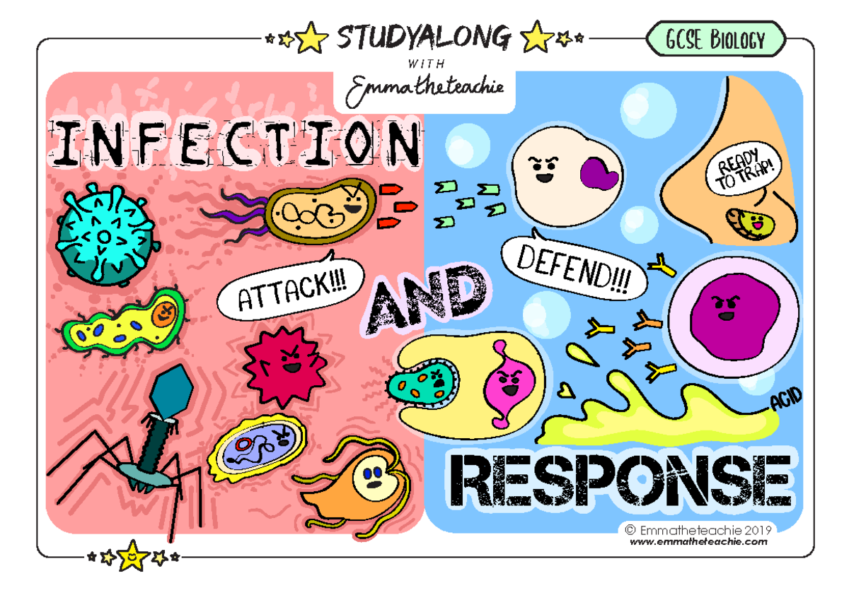GCSE Biology Study Workbook: Infection and Response (Topic 3) - Studocu
