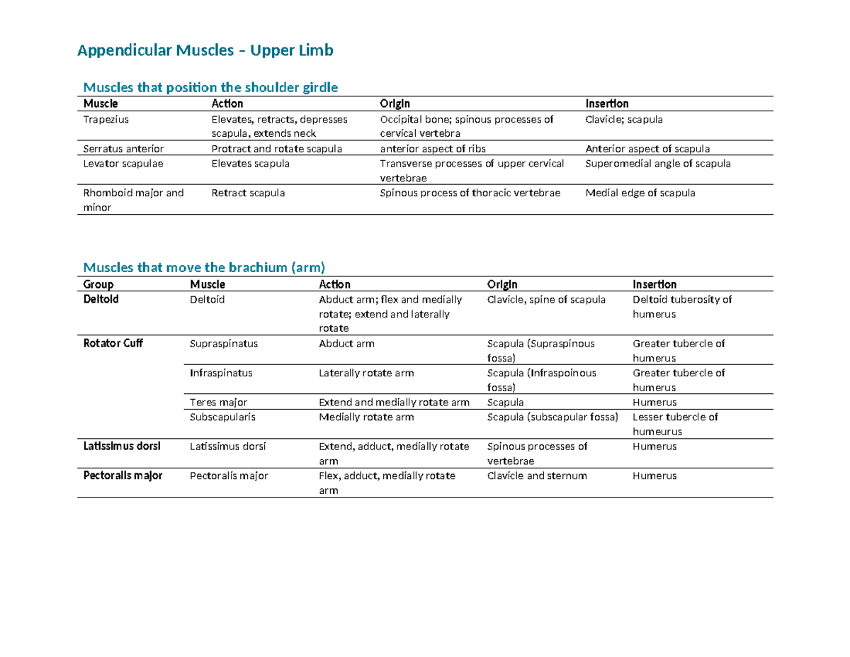 Appendicular Muscles: Upper Limb Anatomy Notes (BIO101) - Appendicular ...