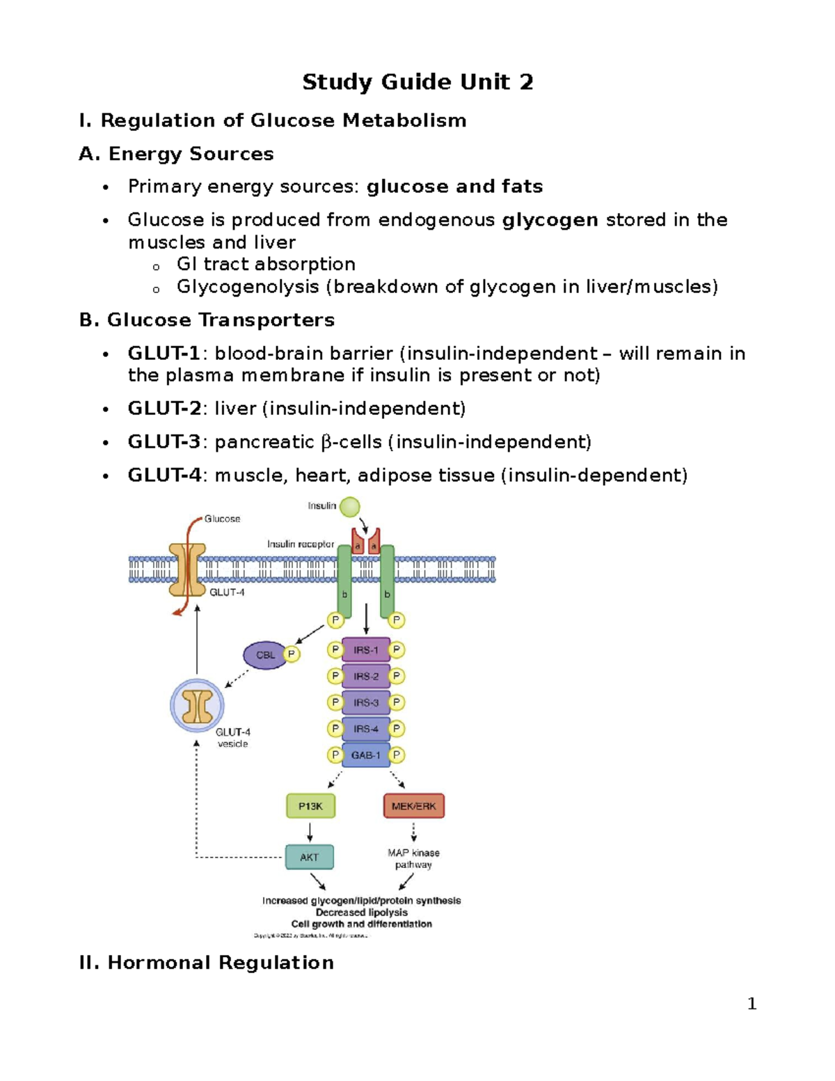 Study Guide Unit 2 - Regulation of Glucose Metabolism - Studocu