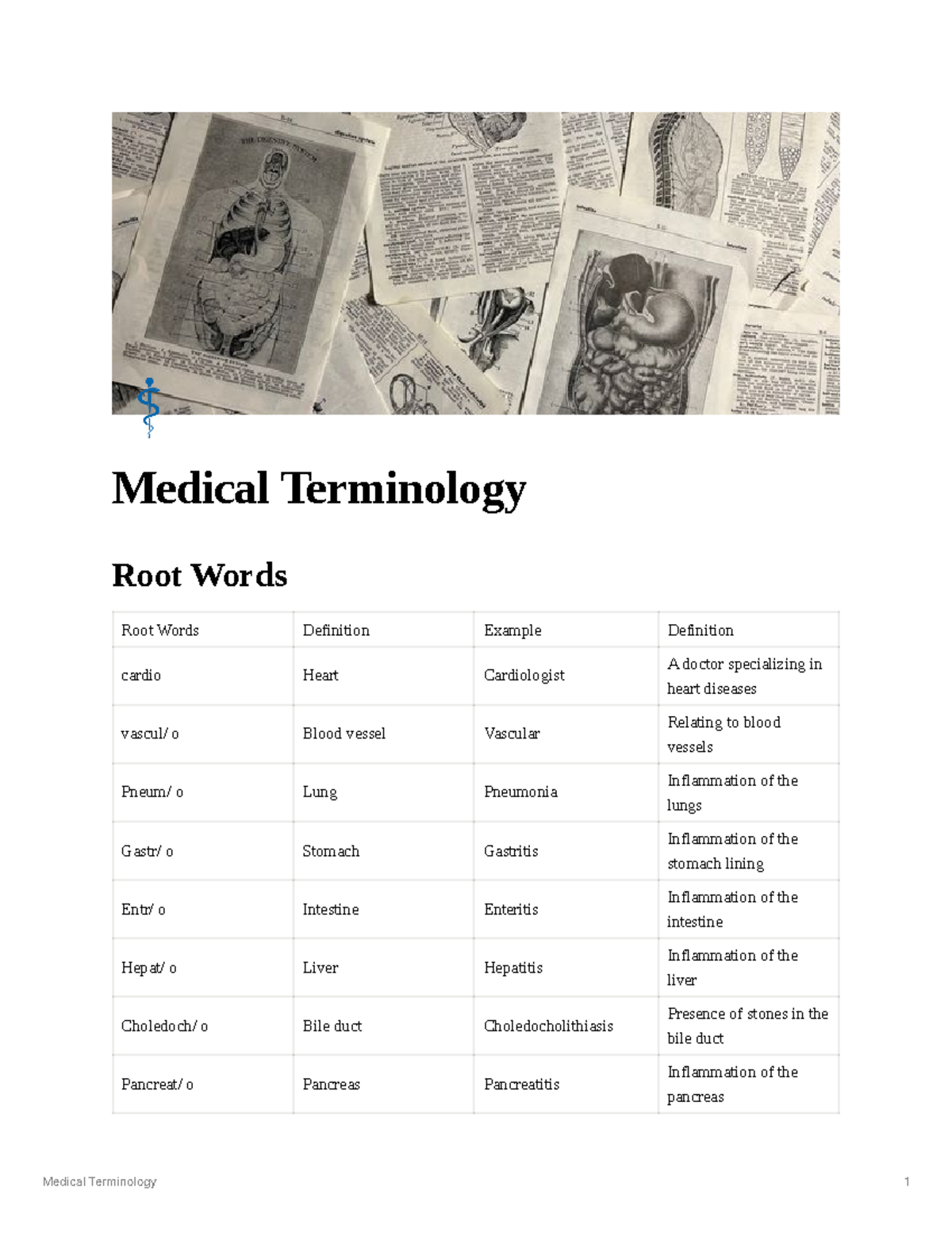 Medical terminologies: Prefix, Root Word, Suffix - Medical Terminology ...