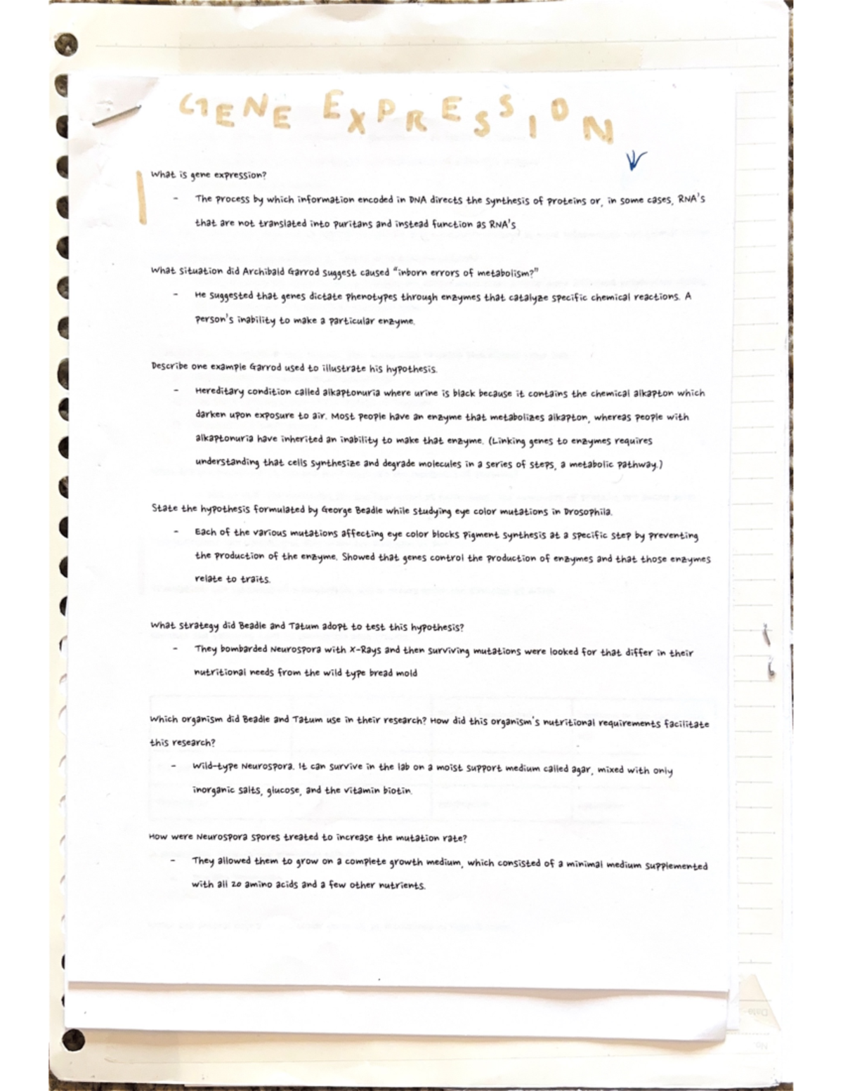 AP Bio Unit 9 - Gene Expression Study Notes and Key Concepts - Studocu