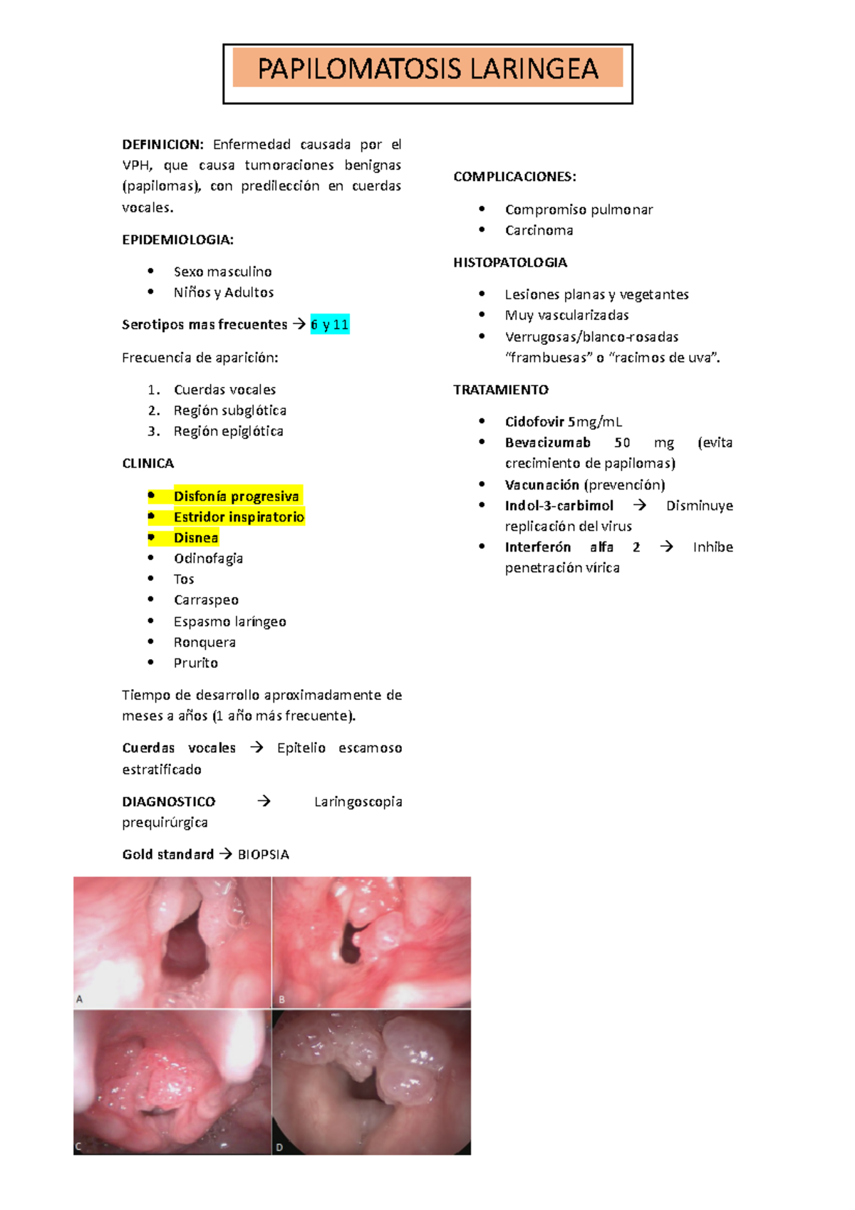 Papilomatosis Laringea - DEFINICION: Enfermedad causada por el VPH, que ...