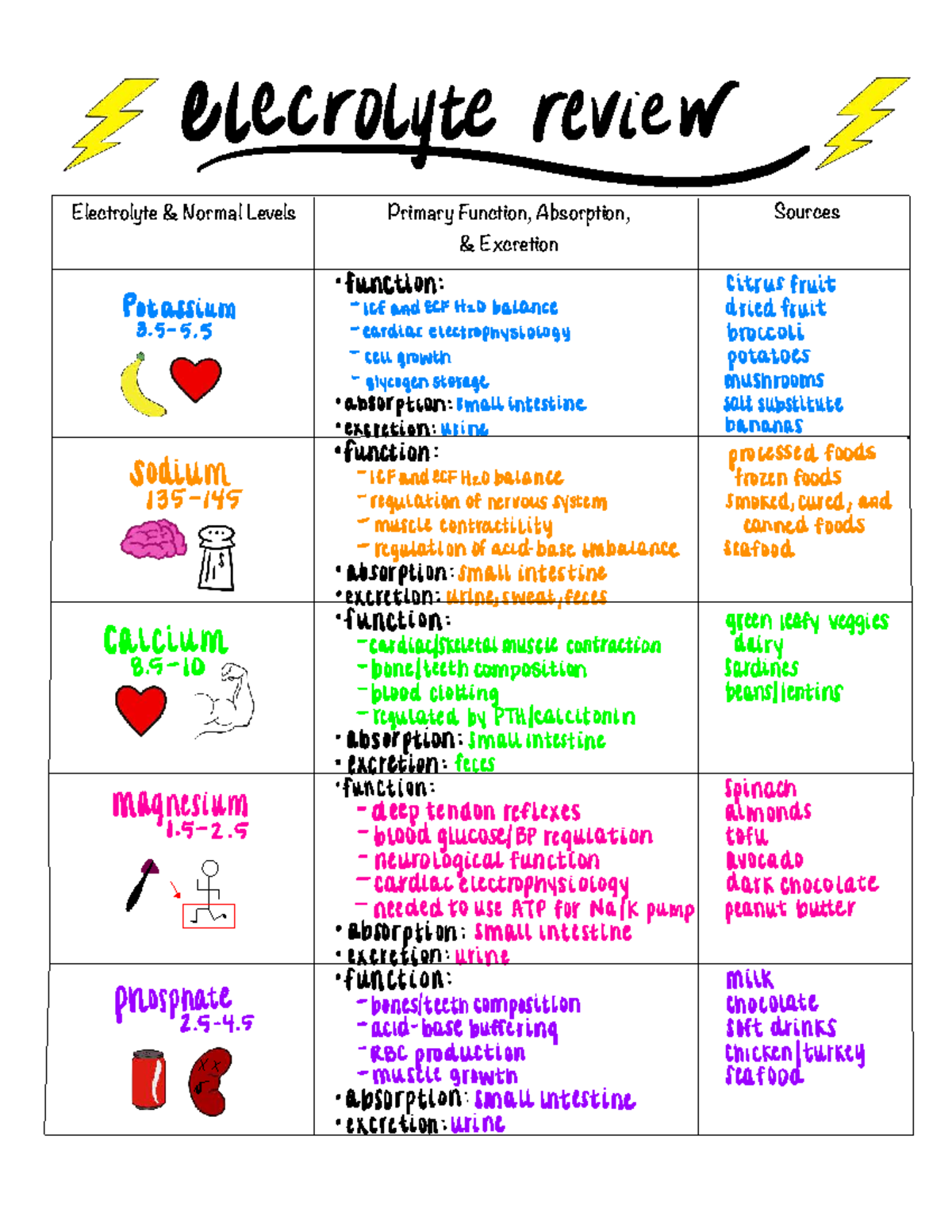 Electrolytes-fluid - Notes summarized - Electrolyte & Normal Levels ...