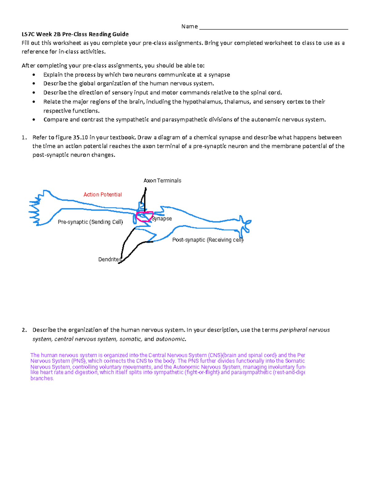 LS7C Week 2B Pre-Class Reading Guide on Nervous System Functions - Studocu