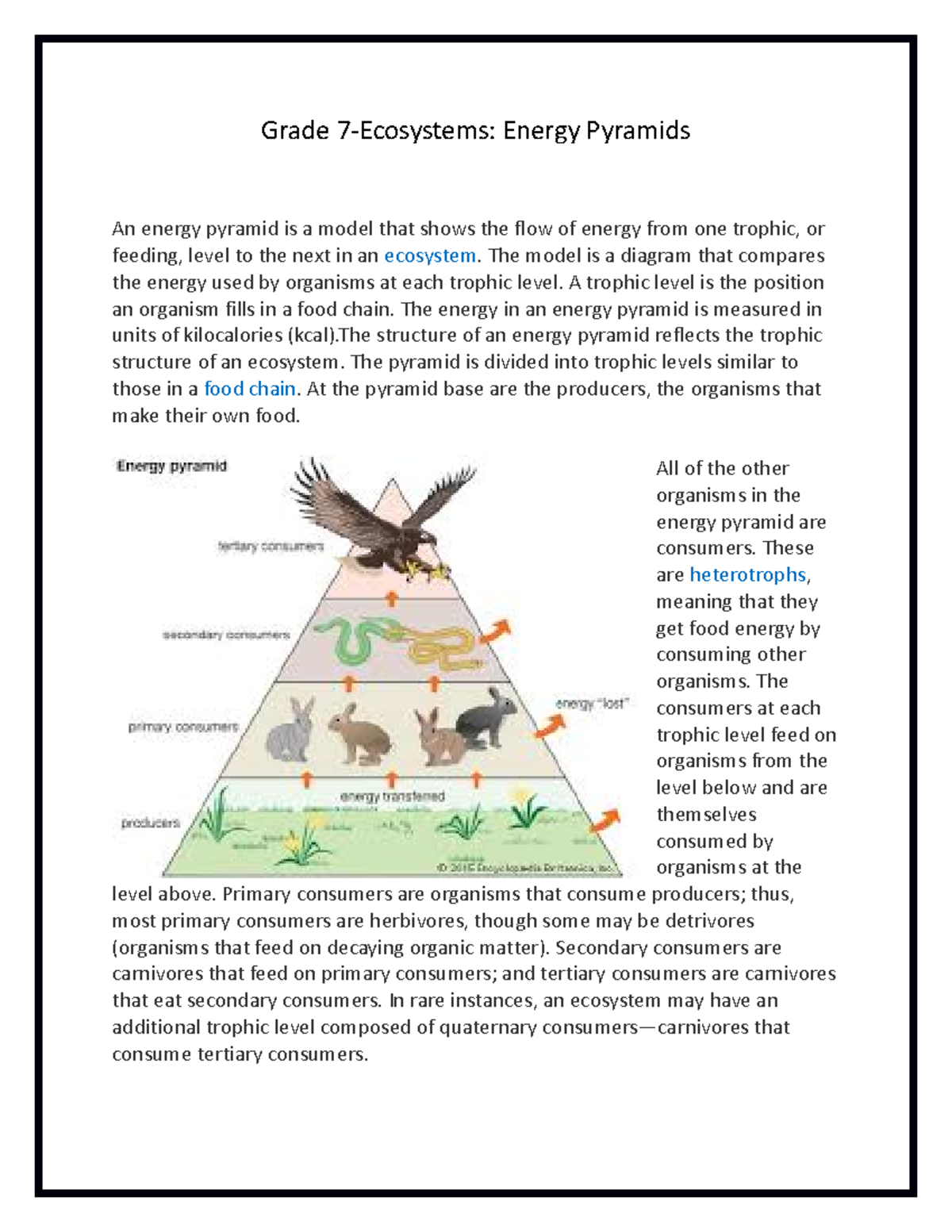 Gr. 7 Ecosystems: Reading Comp. on Energy Pyramids Worksheet - Studocu