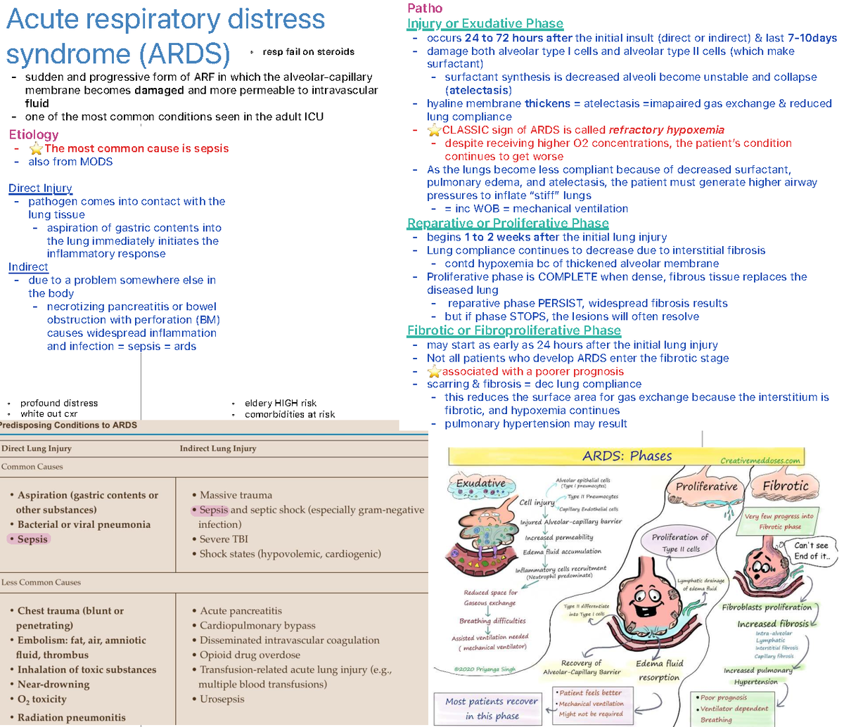 ARDS (Acute Respiratory Distress Syndrome) Overview and Management ...